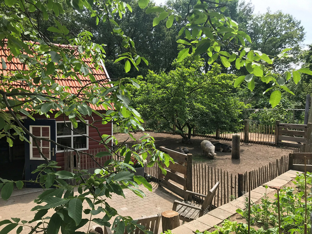 Buitenkans - Ontwikkelboerderij op mooie locatie Middelaar